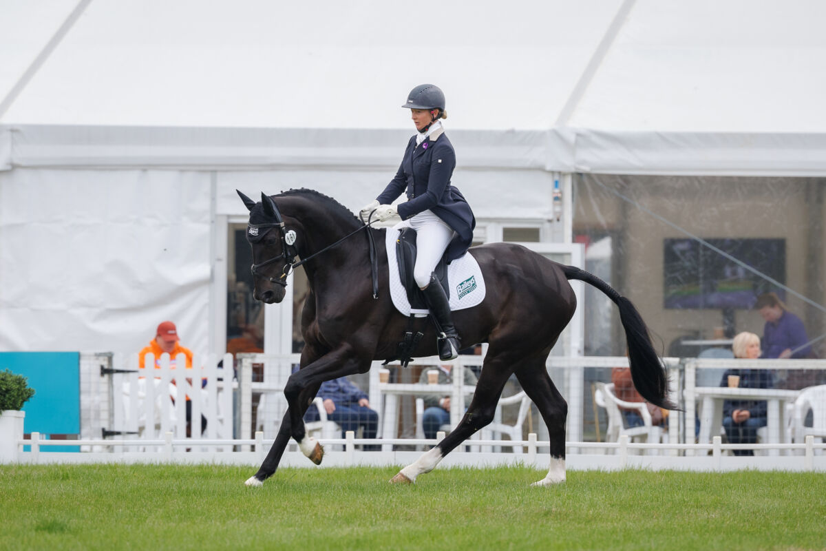 Agria FEI Eventing European Championship - Agria Blenheim Palace ...